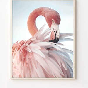 Flamingo Print Flamingo Photo Pink Bird and Flower Magnolia Poster Set ...