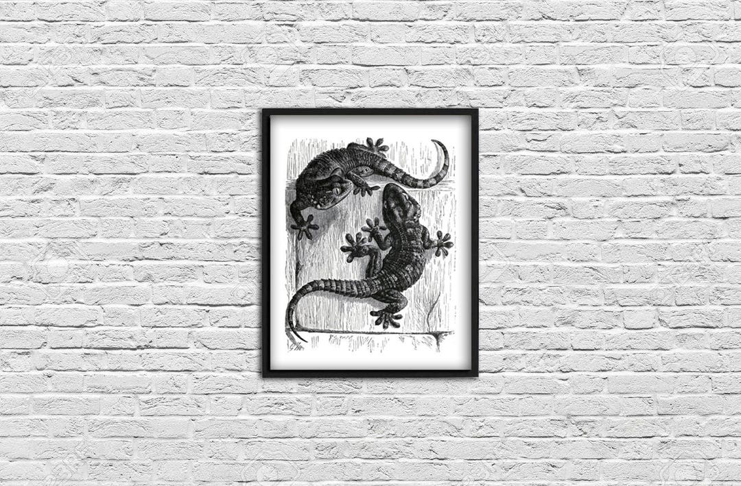 Lizards Wall Art Print, Home Decor, Animal Print, Antique Vintage ...