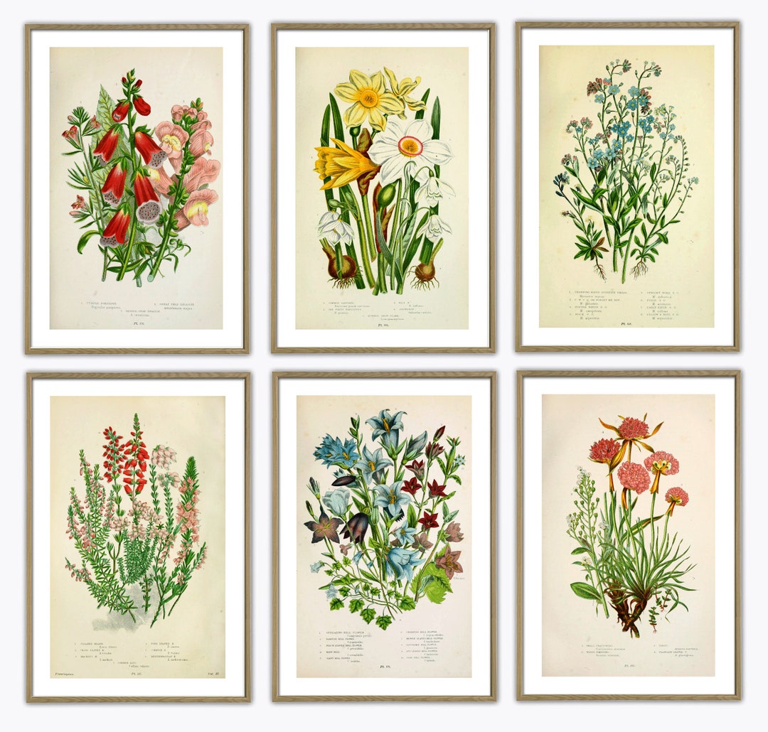 Flowers Print Set, Home Decor, Botanical Wall Art, Flower Gallery Wall ...