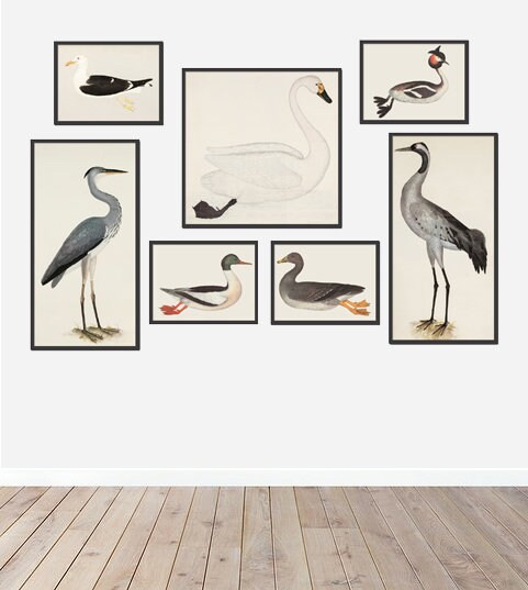 Birds Print Set Wall Art Decor Birds Vintage Illustrations | Etsy