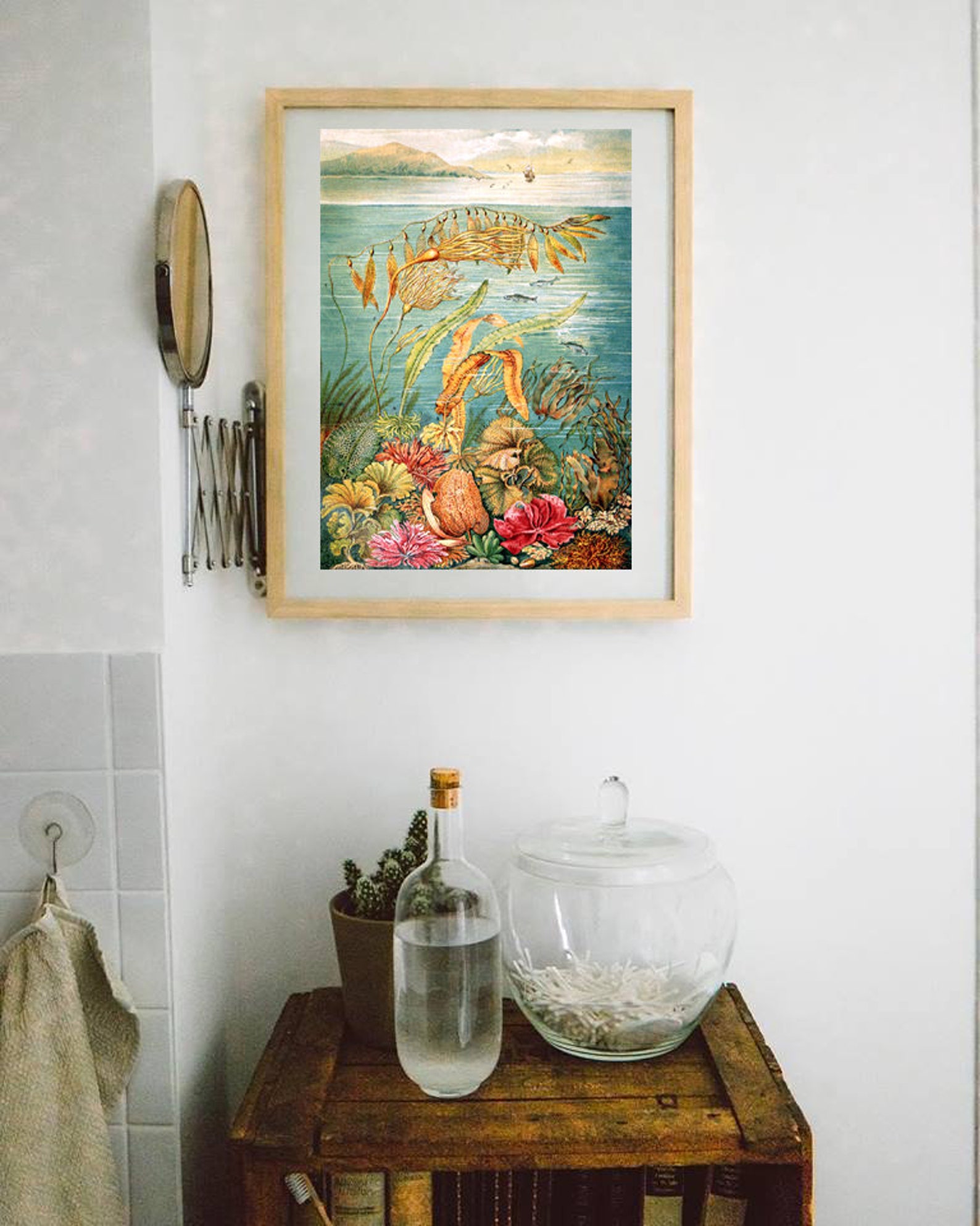Seaweed Wall Art Poster - Marine Print - Algae Art - Biology Poster ...