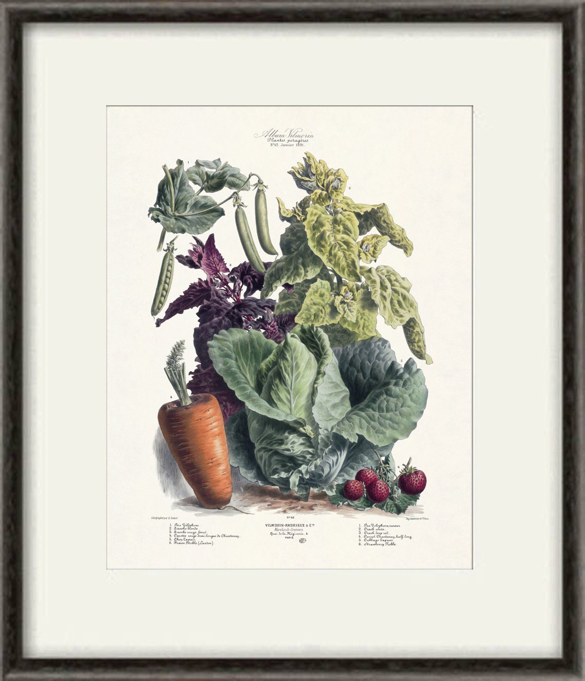 Set of 3 Vegetables Print Kitchen Decor Large Size Poster | Etsy