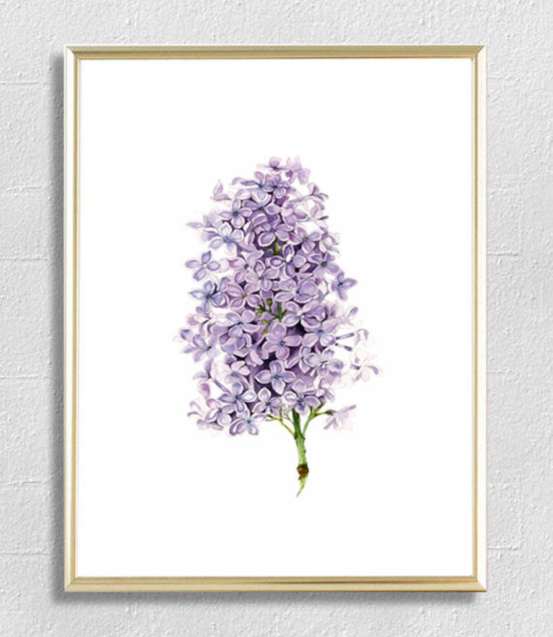 Watercolor Lilac Flower Wall Art Print - Lilac Painting Print - Flower ...