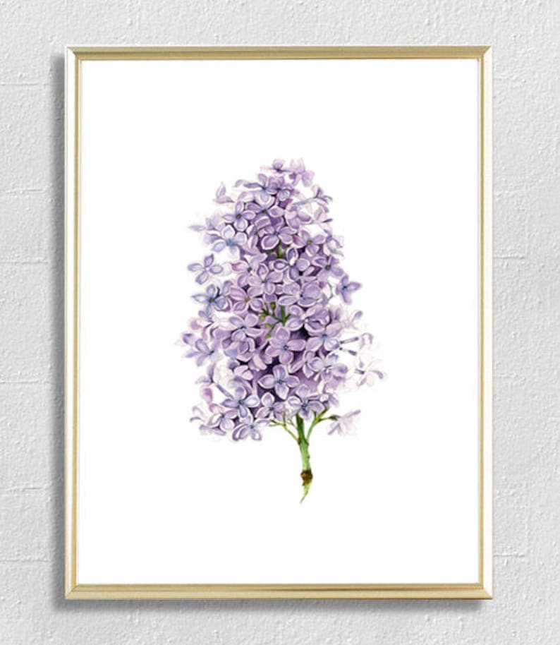 Watercolor Lilac Flower Wall Art Print Lilac Painting Print - Etsy