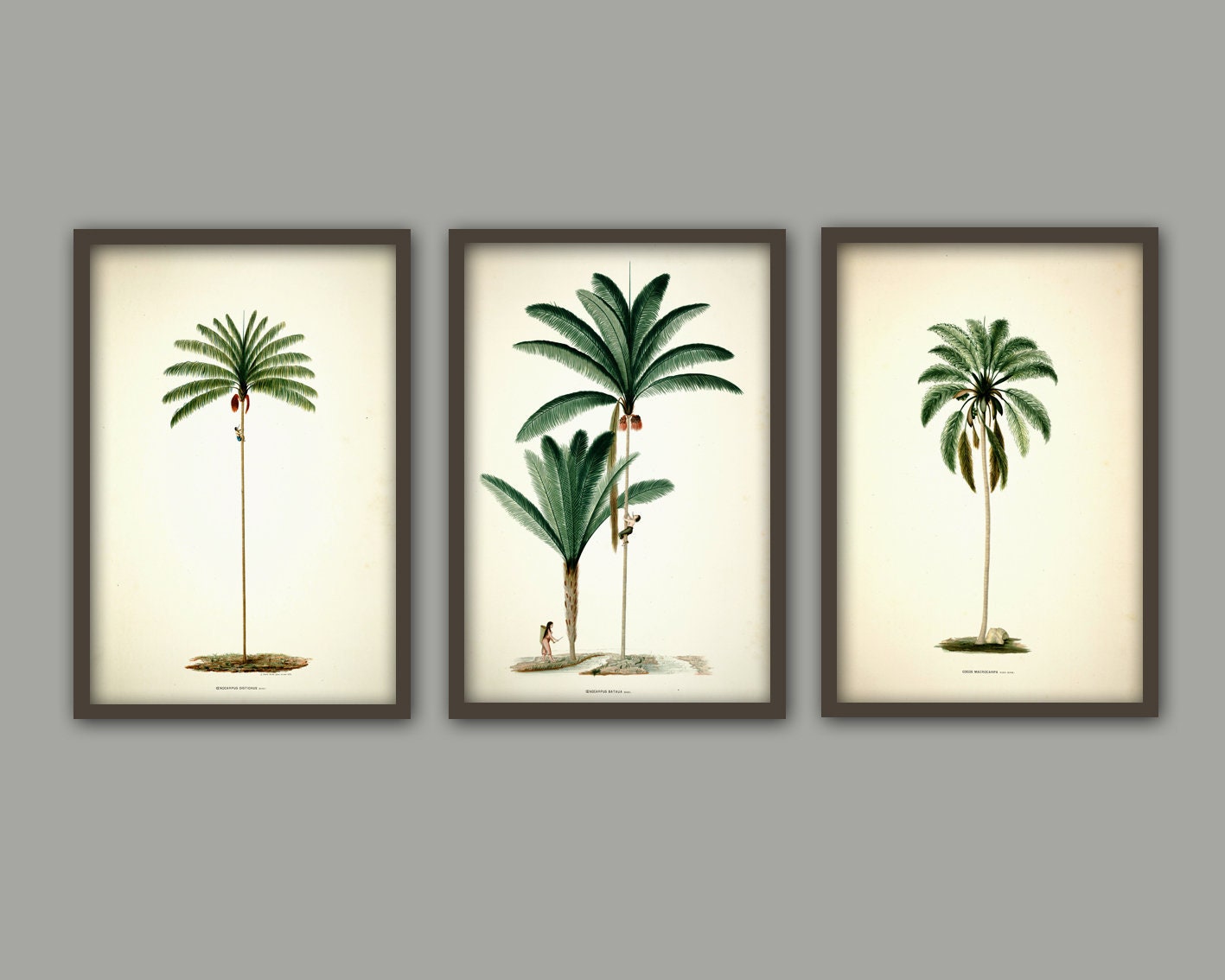 Palm Tree Botanical Wall Art Print Set of 3 Palm Home Decor | Etsy