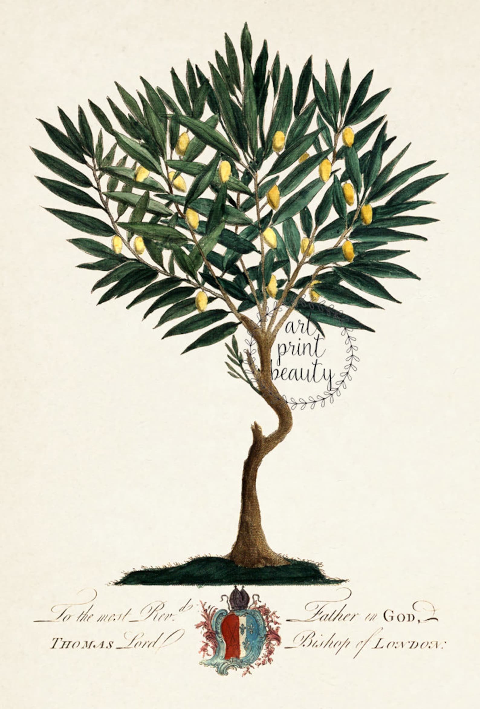 Palm Tree Print Set Palm Posters Wall Art Decor Botanical - Etsy