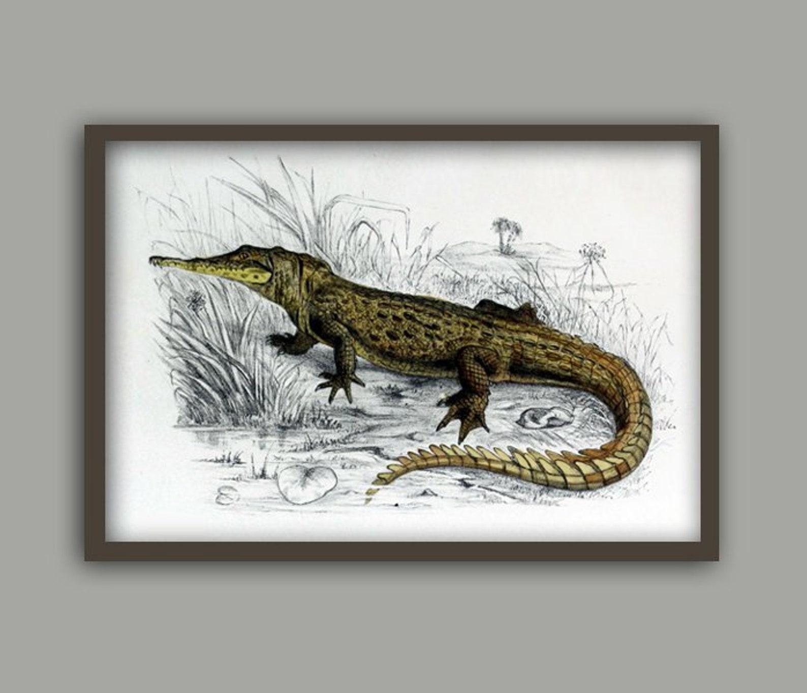 Alligator Print Crocodile Animals Painting Print Predatory Animal Decor ...