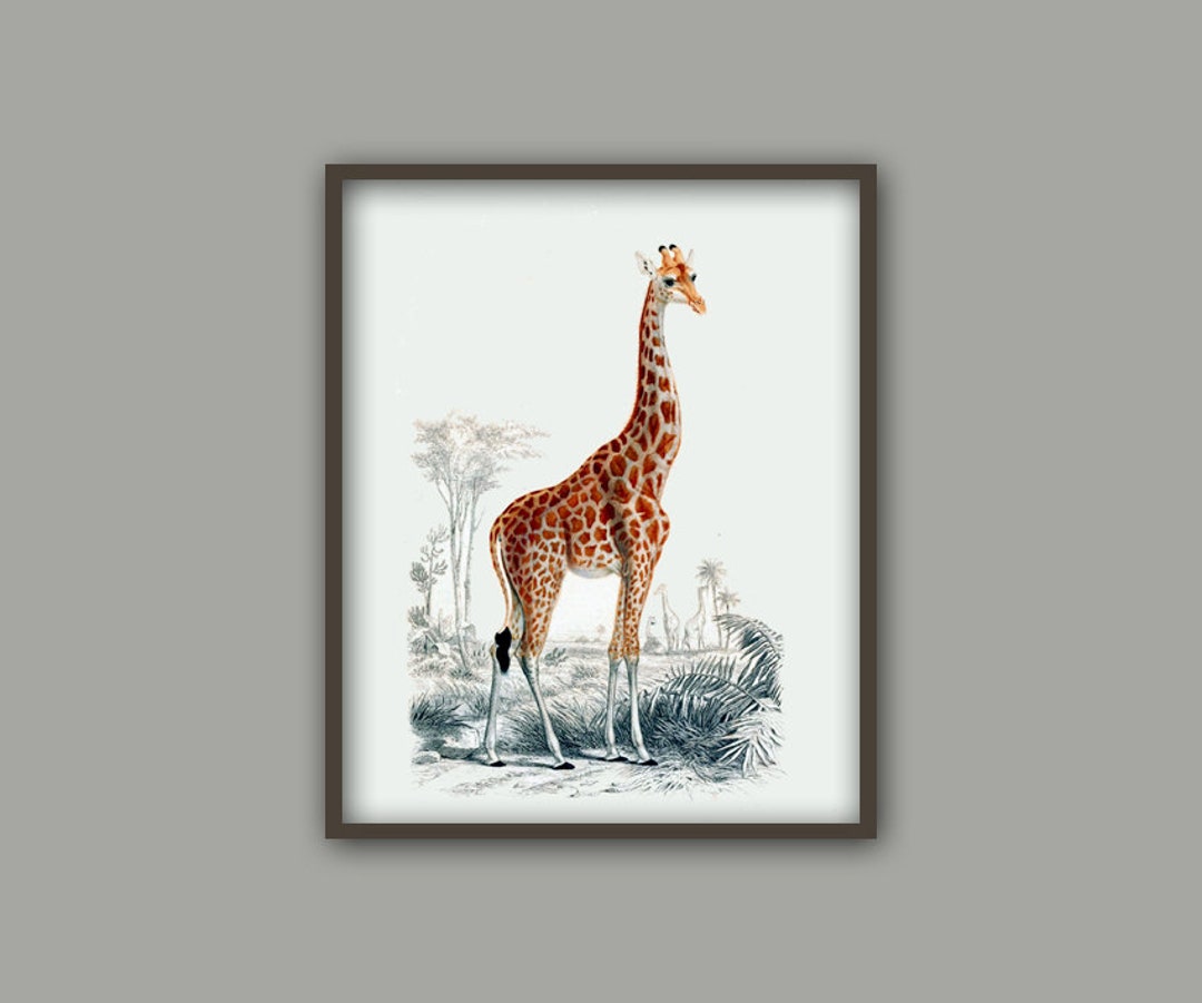 Giraffe Art Print, African Animal Art, Safari Animals, Antique Home ...
