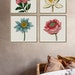 Flower Art Print Set Botanical Print Square Wall Art Decor - Etsy