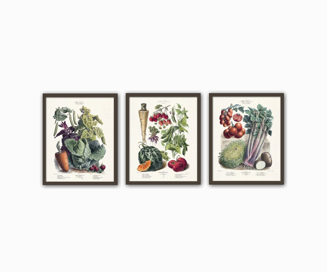 Set of 3 Vegetables Print Kitchen Decor Large Size Poster Botanical ...