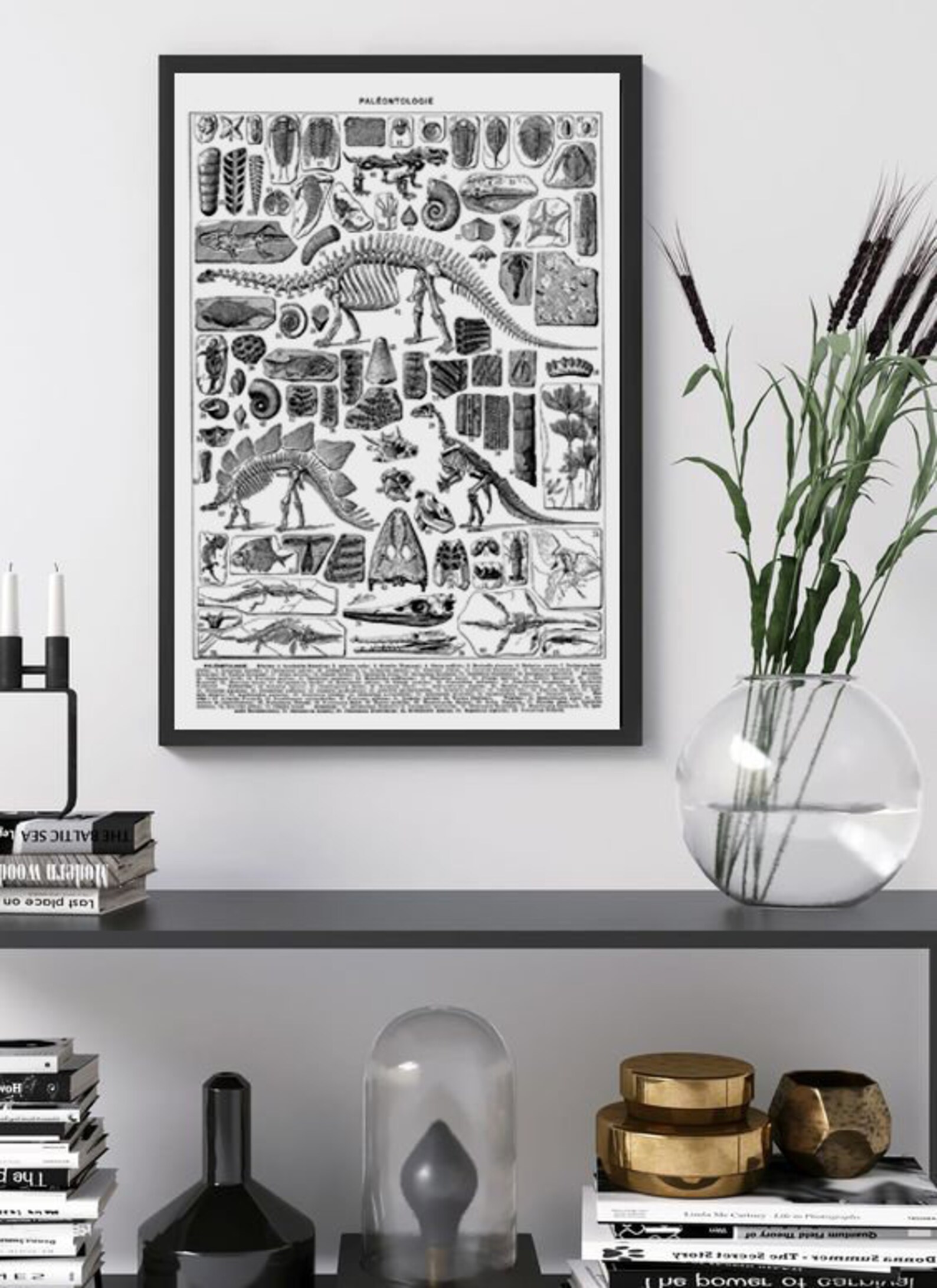 Dinosaur Skeleton Poster Paleontology Science Print Anatomy - Etsy