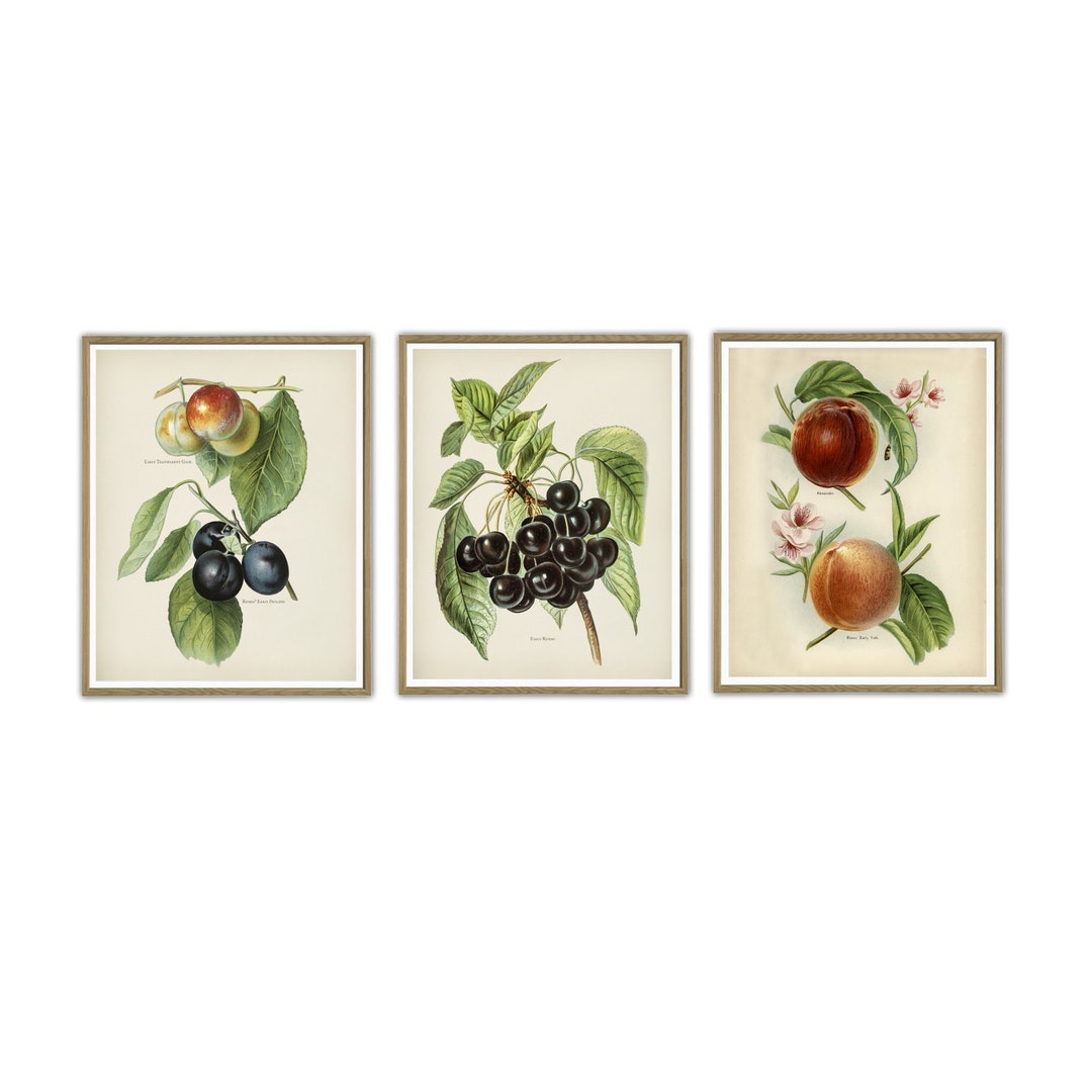 Fruit Wall Art Print - Vegetable Poster - Kitchen Wall Art Decor ...