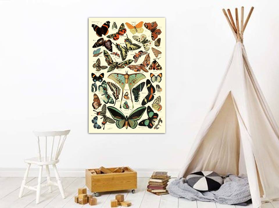 Botanical Butterfly Illustrations Butterfly Prints Butterfly Poster ...