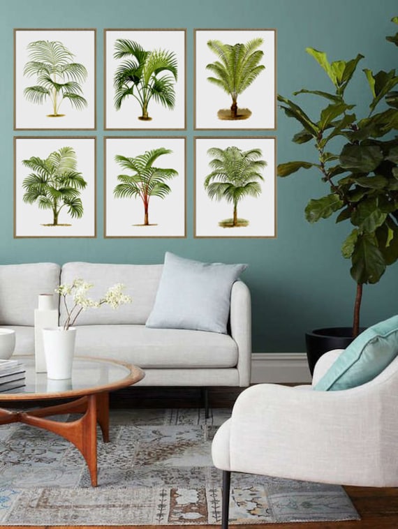 Beautiful Living Room Pakm Tree Pictures Ideas