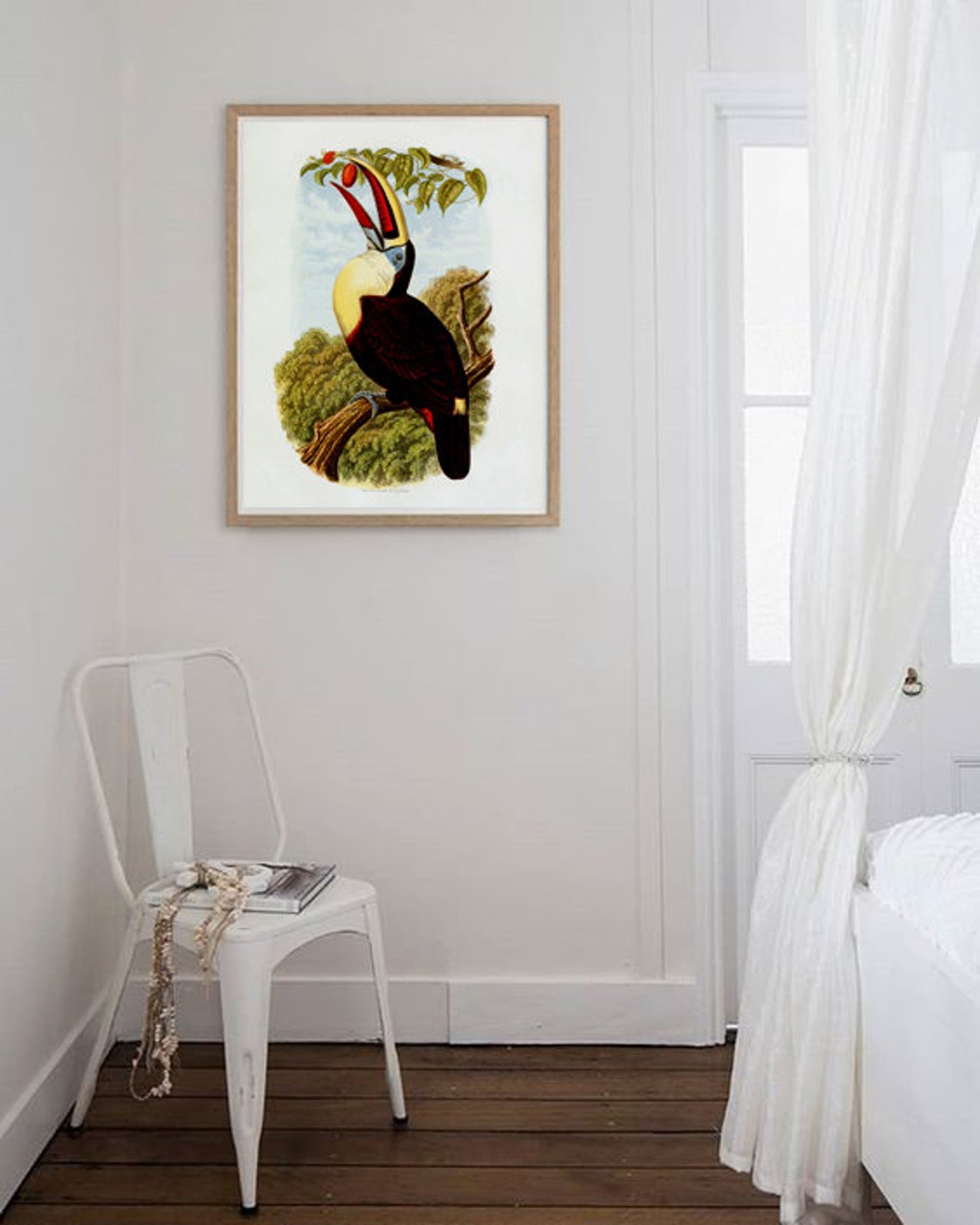 Toucan Bird Print Bird Poster Bird Wall Art Decor Tropical - Etsy