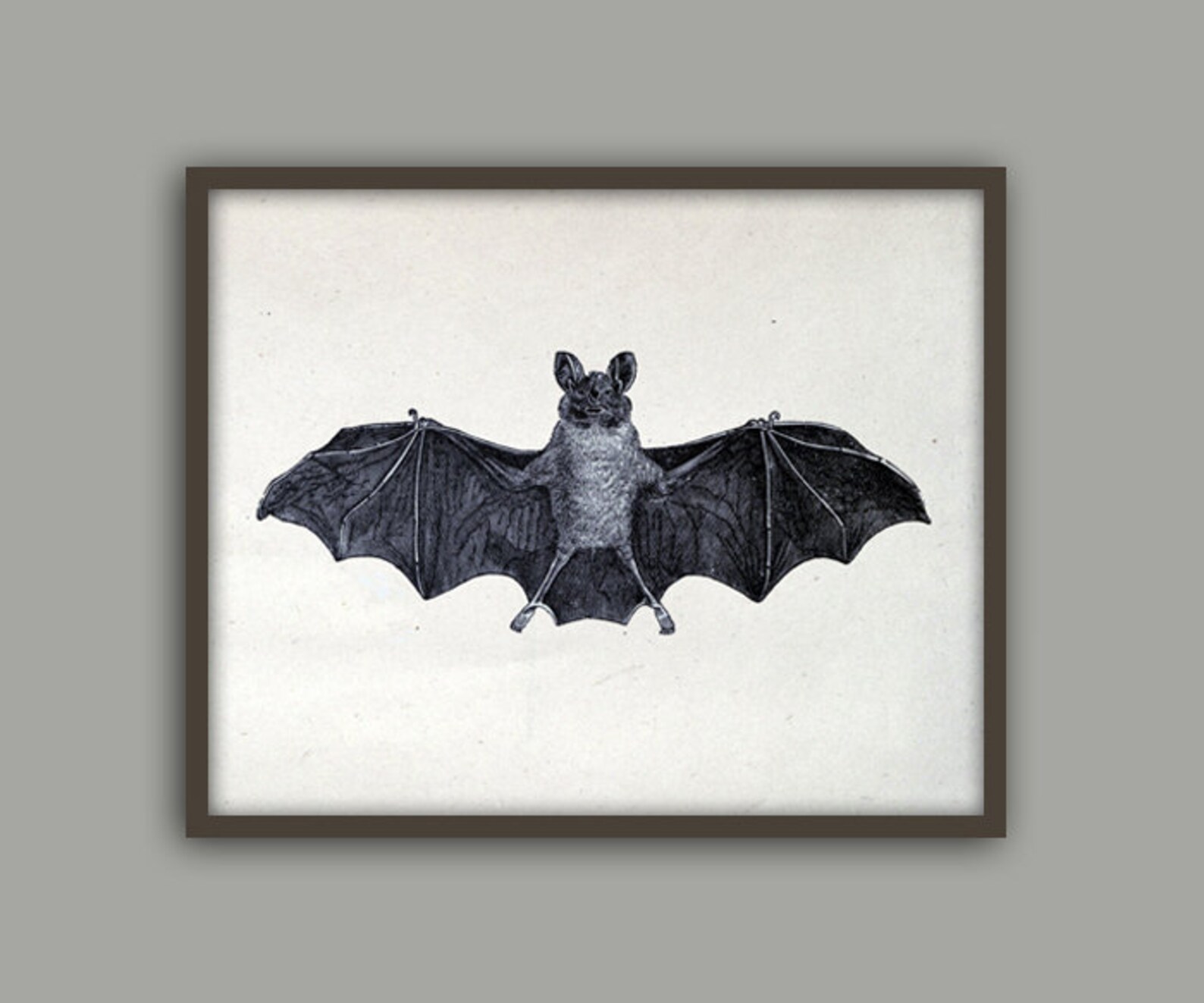 Bat Print Bat Wall Art Bat Poster Animals Print | Etsy
