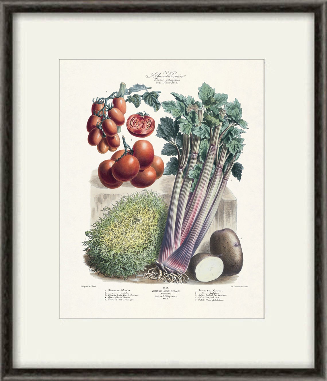 Set of 3 Vegetables Print Kitchen Decor Large Size Poster | Etsy