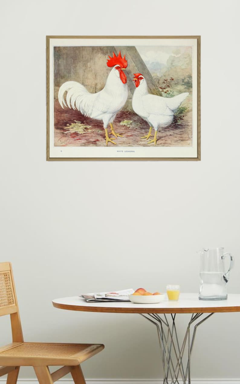 Rooster Print, Chickens Print, Bird Poster, Kitchen Wall Art Decor ...