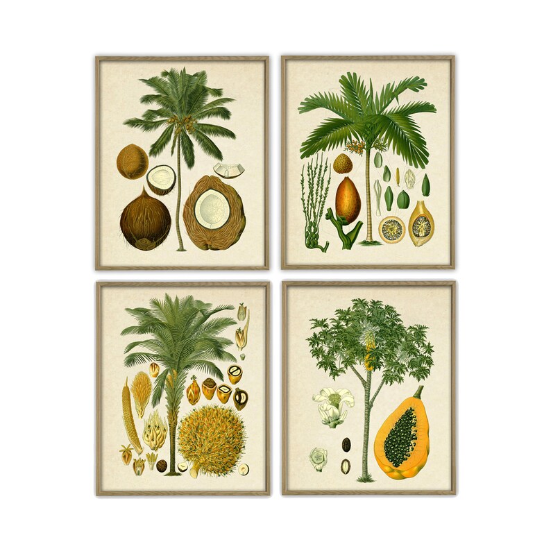 Palm Tree Print Set of 4 Large Wall Art Decor Vintage - Etsy