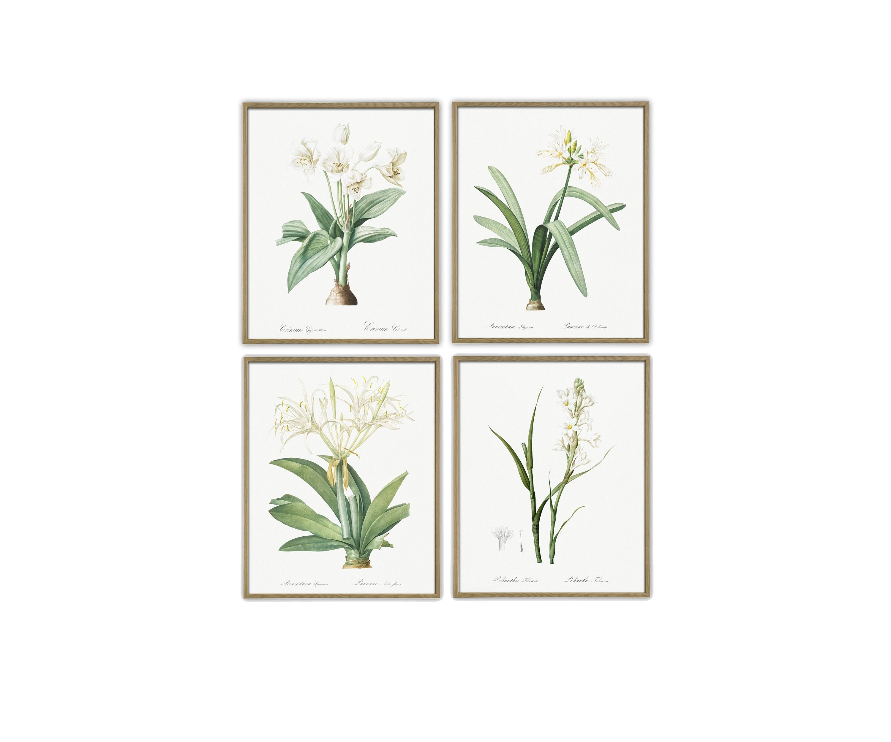 White Flowers Print Botanical Wall Art Decor Blooming Flowers | Etsy