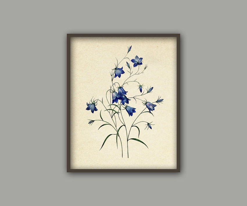 Antique Flowers Print Home Decor Blue Flowers Illustration - Etsy