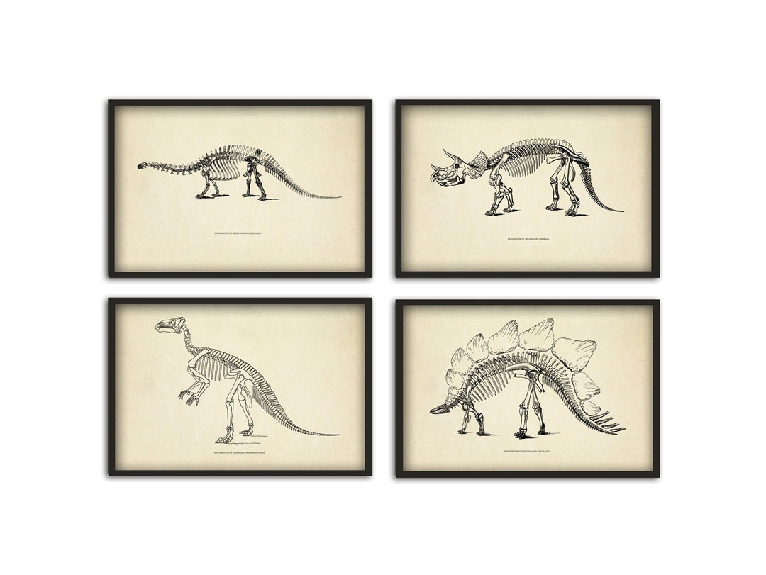 Dinosaur Skeleton Art Print Set, Paleontology Science Decor - Etsy
