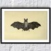 Bat Print Bat Wall Art Bat Poster Animals Print - Etsy