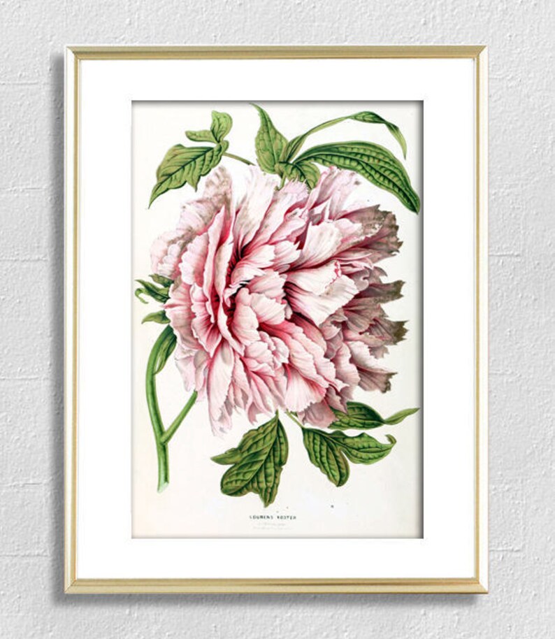 Pink Flower Printable Floral Print Flowers Wall Art Decor - Etsy