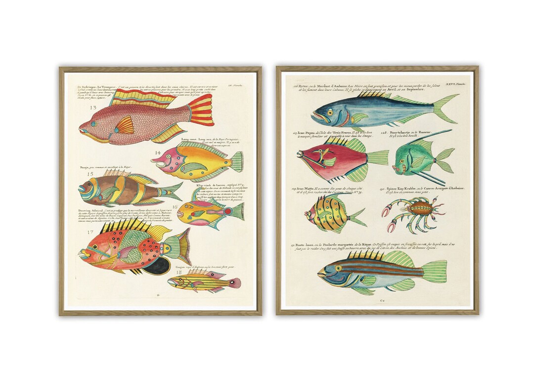 Fish Print Fish Poster Sea Marine Wall Decor Print Cute Fishes Painting ...