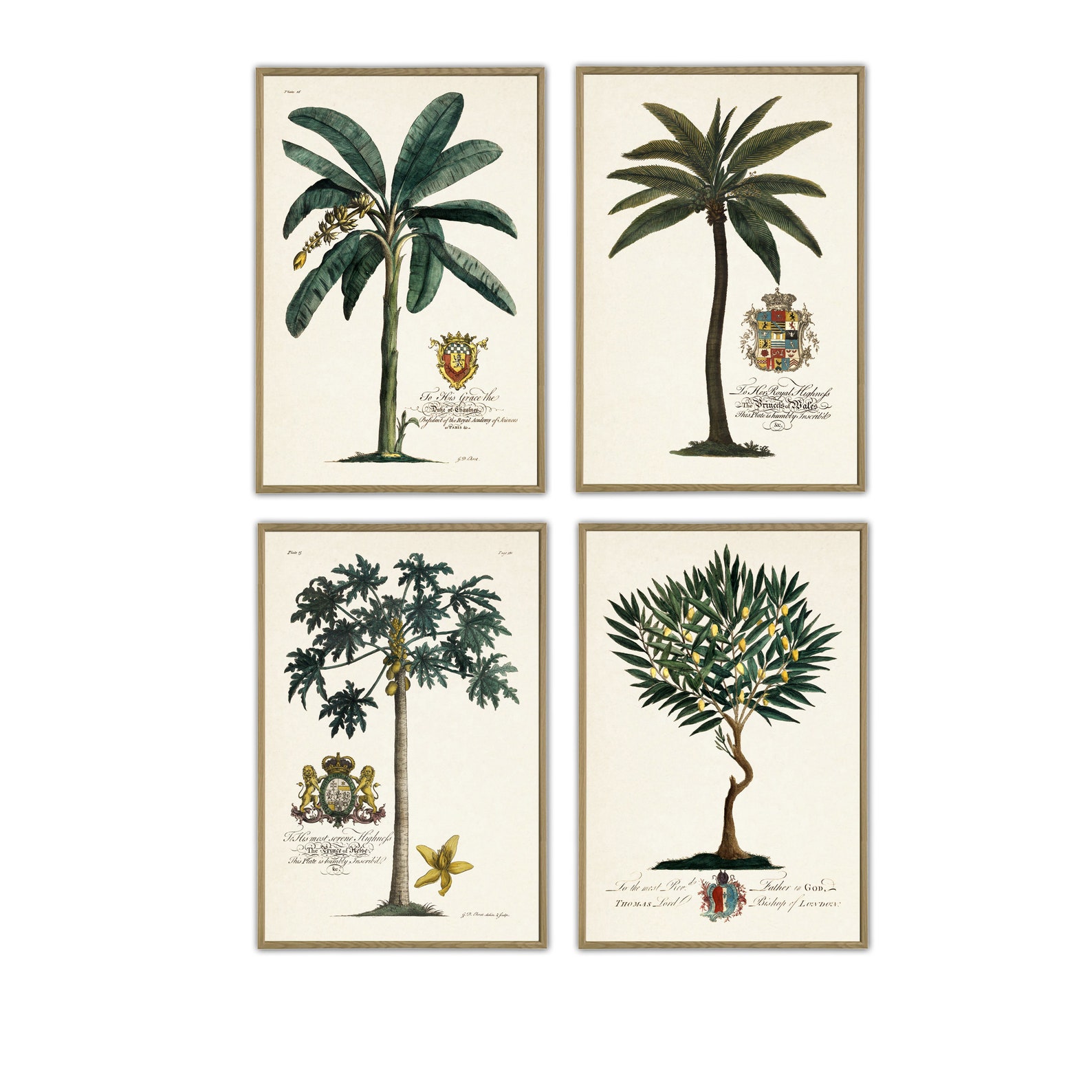 Palm Tree Print Set Palm Posters Wall Art Decor Botanical - Etsy