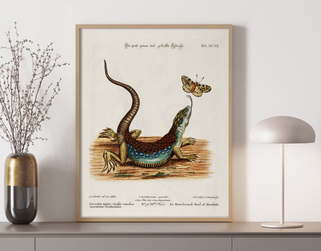 Lizard Print Animal Wall Decor Lizard Reptile Tropical Animal - Etsy