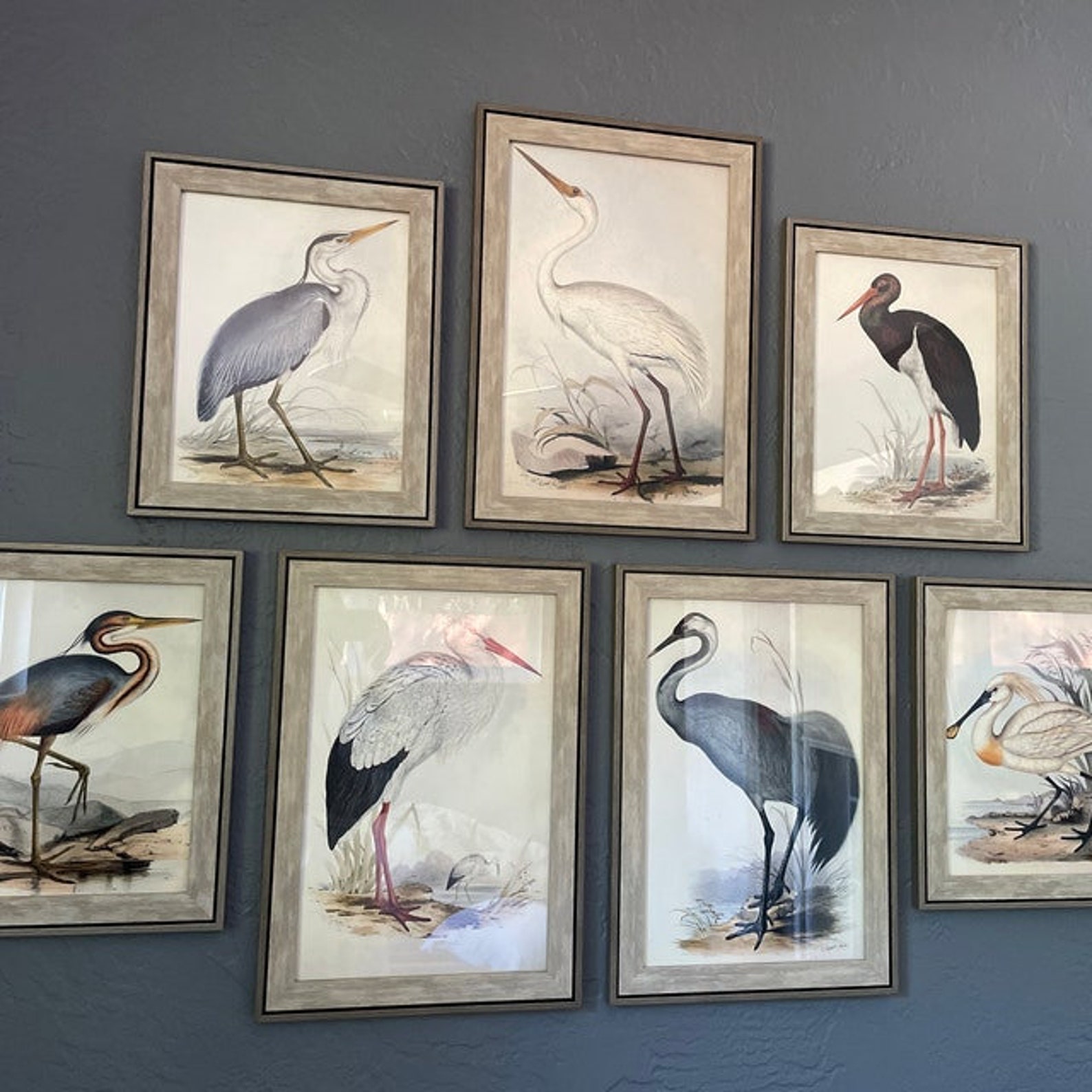 Bird Art Print Set Wall Art Decor Vintage Bird Illustration - Etsy