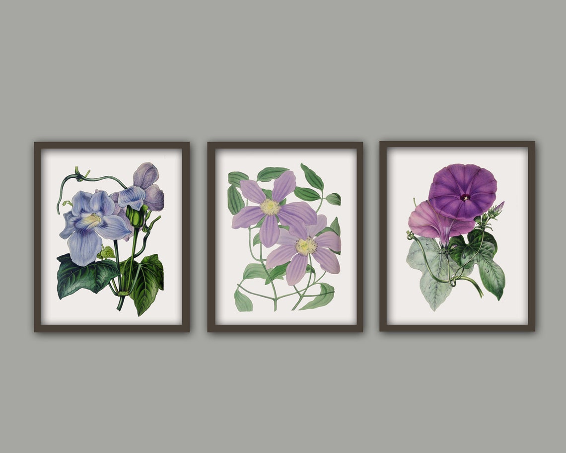 Flower Print Set, Flower Wall Art, Botanical Wall Art Decor, Flowers ...