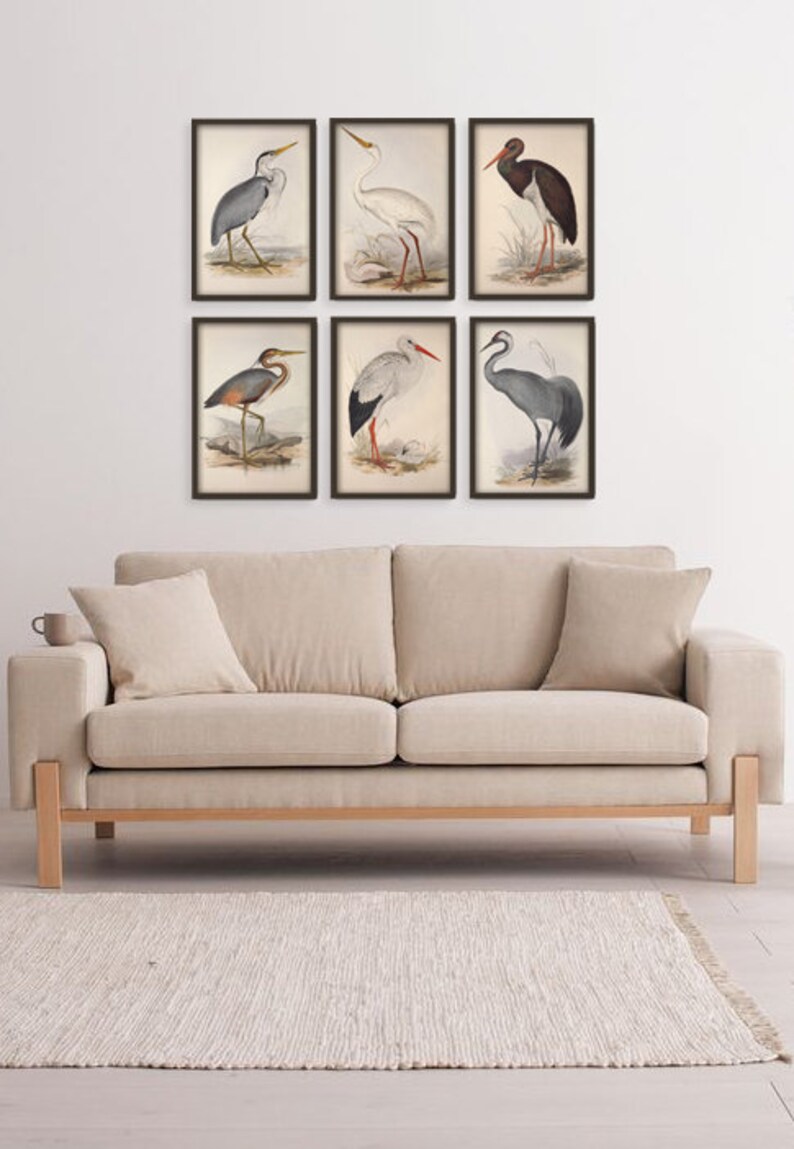 Bird Print Set, Bird Poster, Bird Gallery Wall, Bird Vintage ...