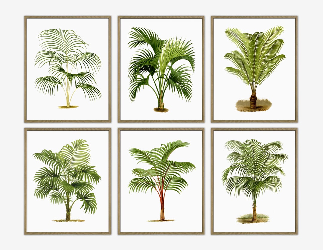 Palm Print, Botanical Print Set, Palm Wall Art Decor, Beach Tropical ...