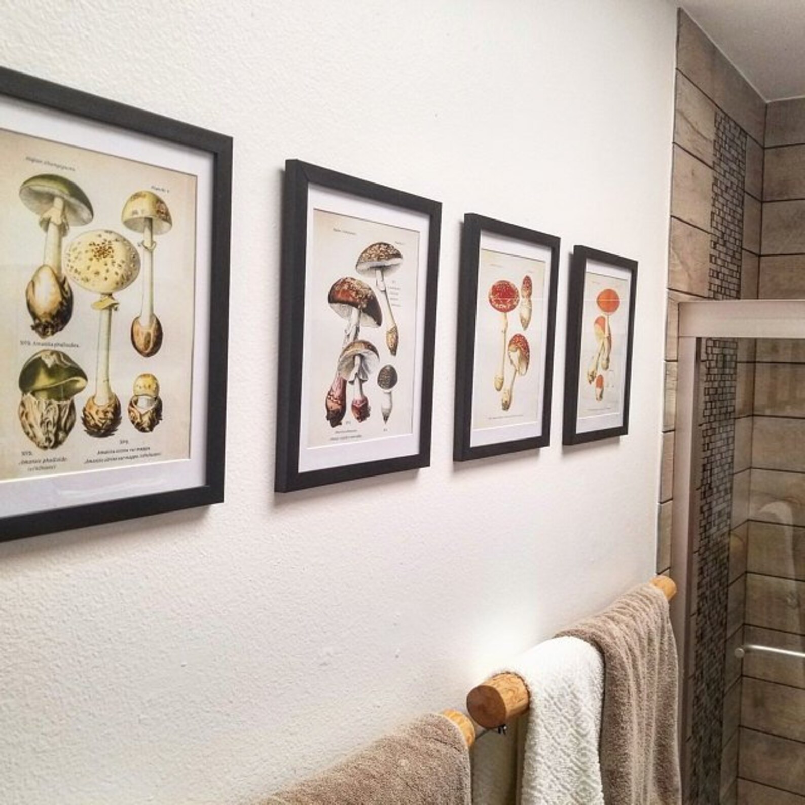 Mushroom Print Set of 4 Kitchen Wall Decor Botanical - Etsy