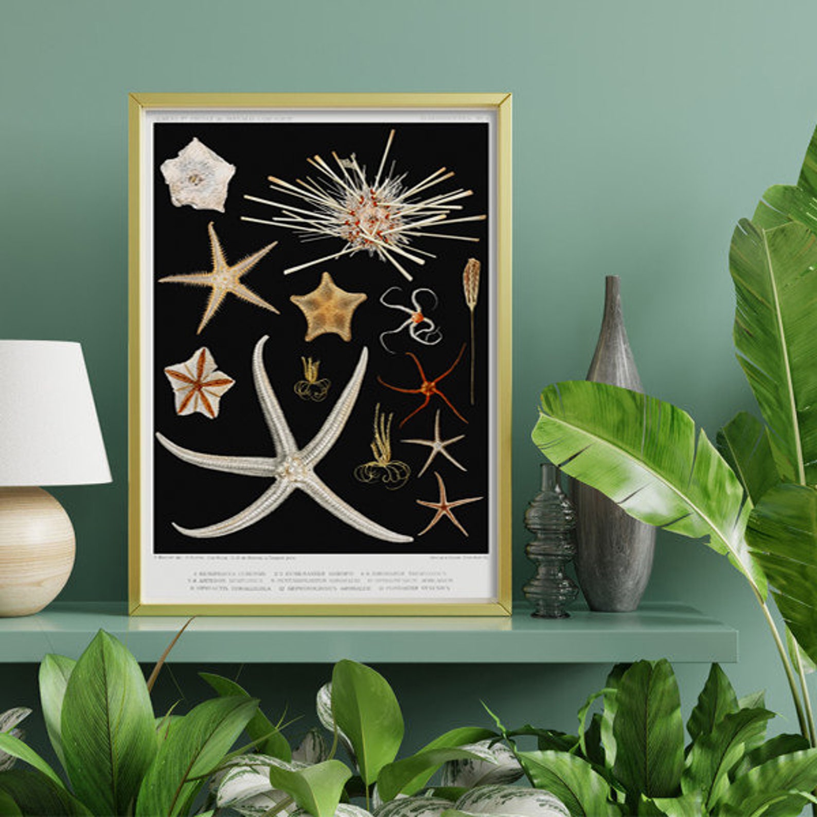 Starfish Print, Marine Biology Print, Bathroom Decor Poster ...