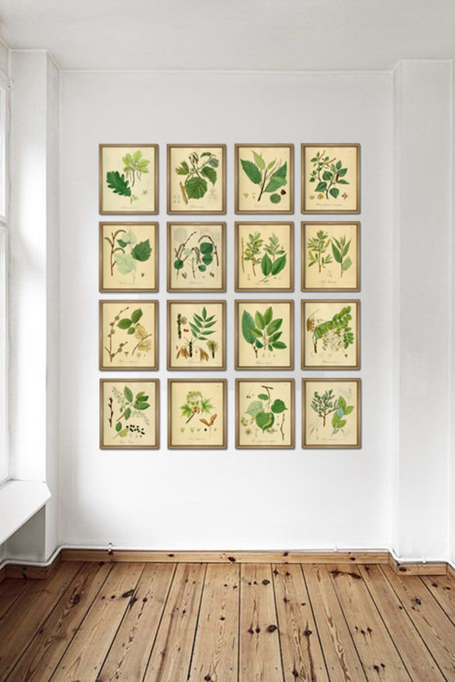 Tree Species Wall Art Print Set Green Leaves Print Plant - Etsy