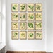 Tree Species Wall Art Print Set Green Leaves Print Plant - Etsy