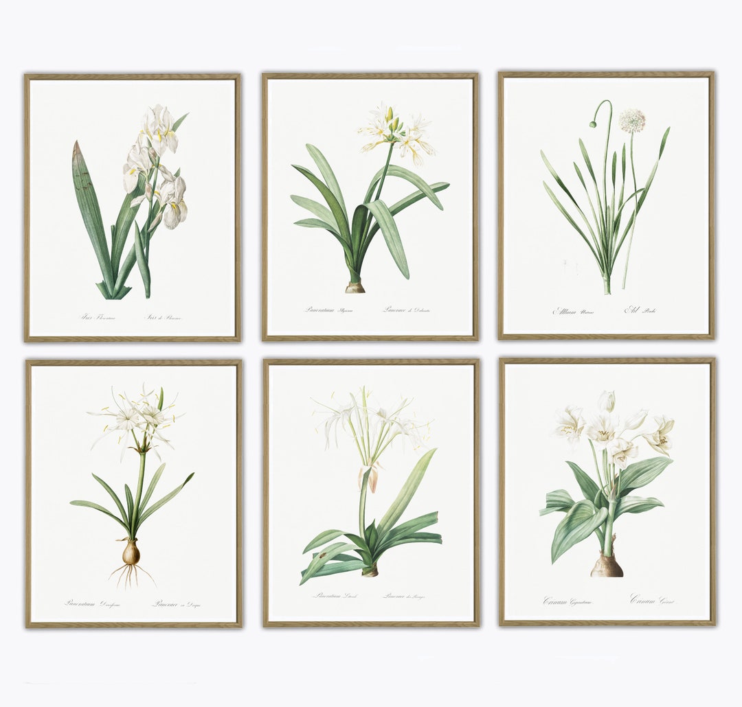 Flower Print Set, Wall Art Decor, Flower Collage, Wall Gallery - Etsy