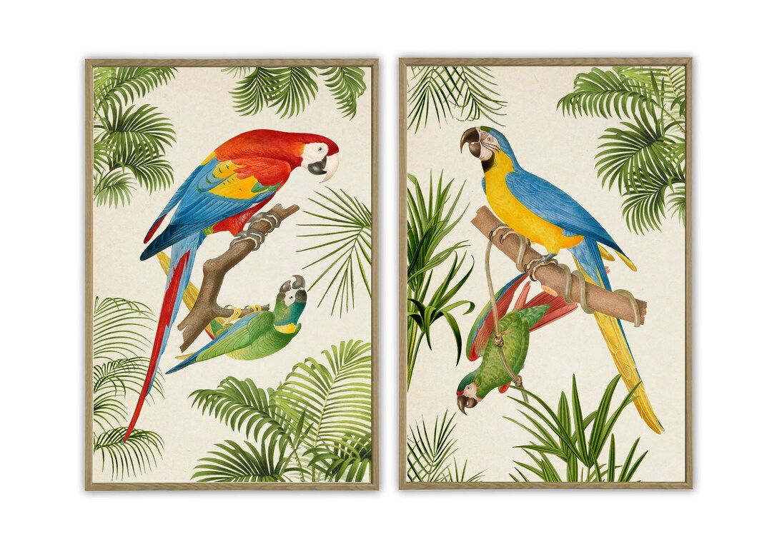 Tropical Birds Print Set of 2, Exotic Birds, Tropical Fauna Flora ...