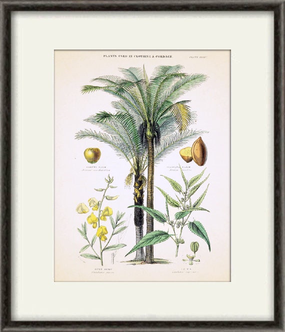 Palm Tree Print Palm Leaf Palm Tree Wall Art Decor | Etsy Canada