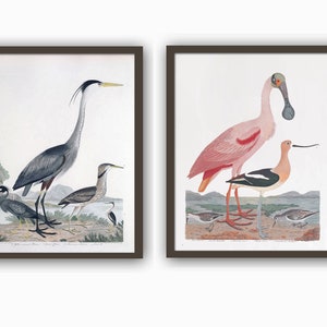 Birds in Lake Landscape Art Print, Waterbird Illustration Wall Art ...