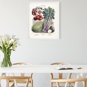 Vegetable Print Kitchen Poster Home Decor Botanical Print Vegetable ...