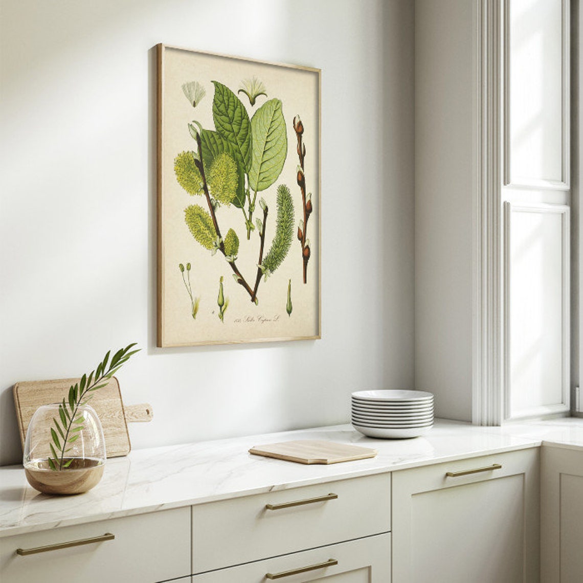Willow Print Botanical Wall Art Decor Willow Leaves Illustration ...