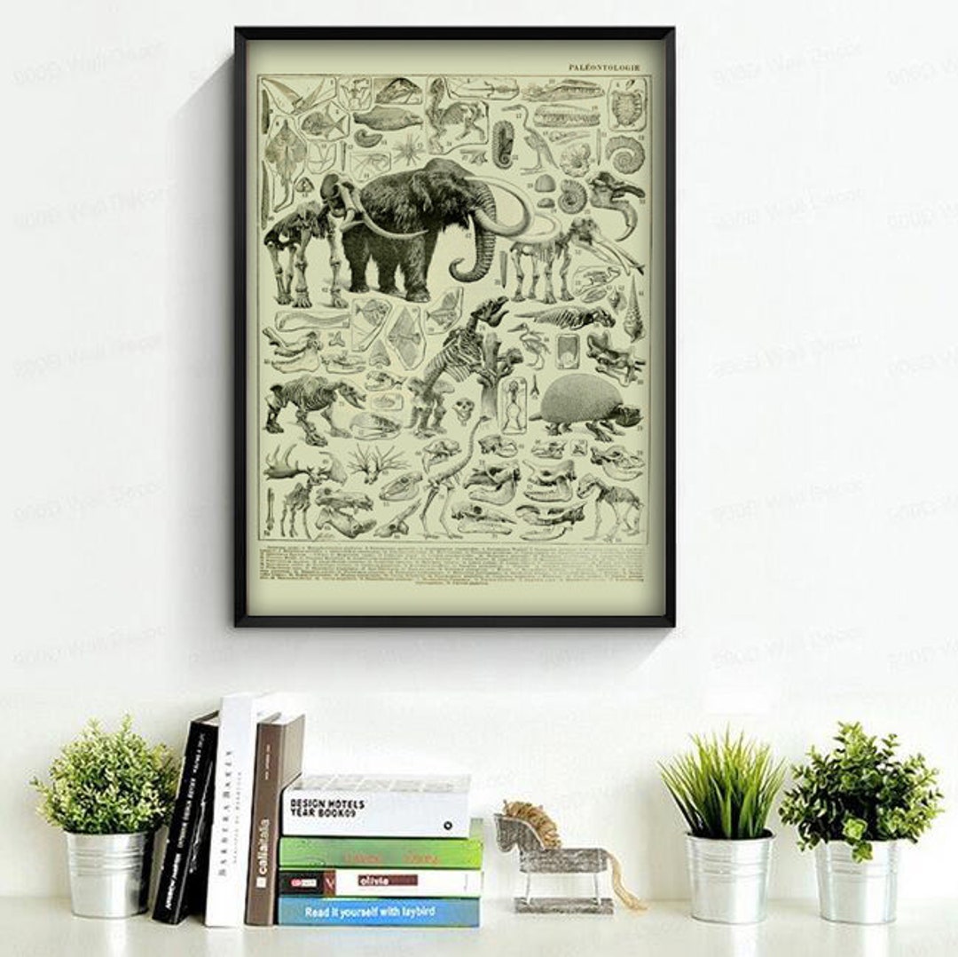 Prehistoric Animals Poster, Fossil Mammoth Dinosaur Skeleton Print ...