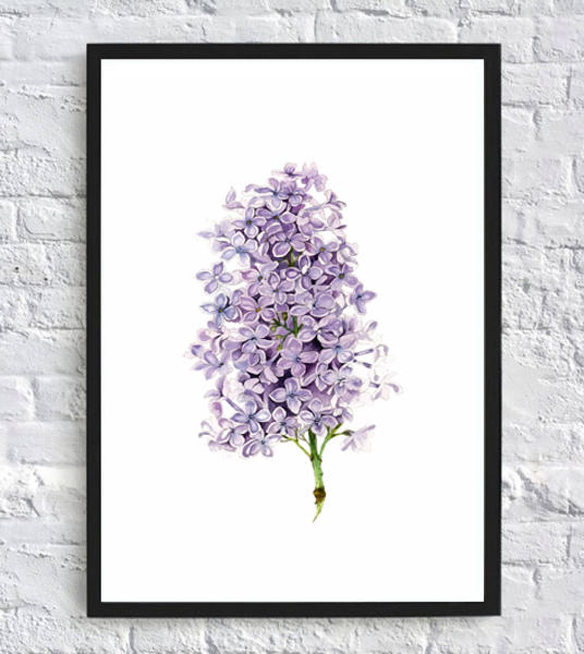Watercolor Lilac Flower Wall Art Print - Lilac Painting Print - Flower ...
