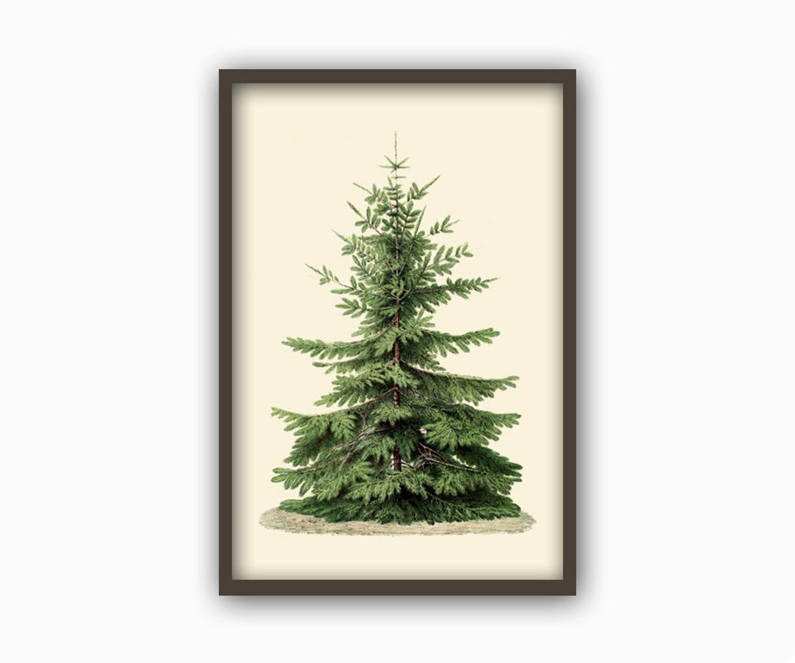 Christmas Tree Print Botanical Vintage Home Decor Christmas - Etsy