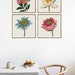 Flower Art Print Set Botanical Print Square Wall Art Decor - Etsy
