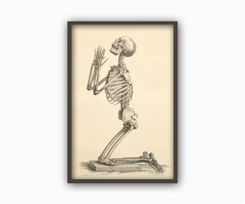 Human Skeleton Print Anatomy Skeleton Poster Medical Art | Etsy